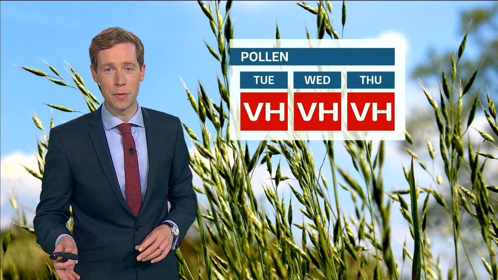 Martin Stew • Biography & Images