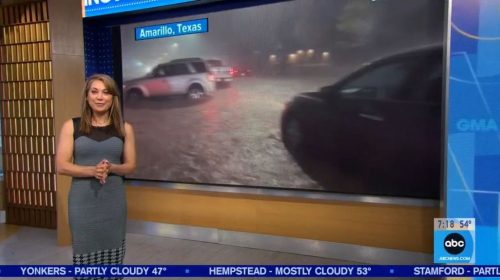 Ginger Zee • Biography & Images